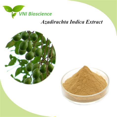 Kosher And Halal 100 Natural Azadirachta Indica Extract Azadirachta