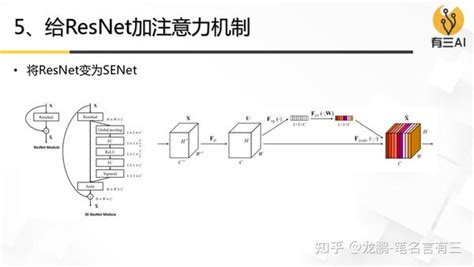 项目实战课基于Pytorch的SENet人种图像分类实战 知乎 项目实战课基于Pytorch的SENet人种图像分类实战 知乎
