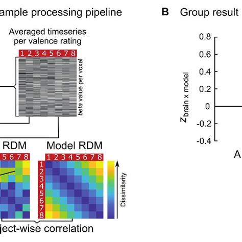 Valence Coding In The Amygdala A Single Subject Example Processing Download Scientific