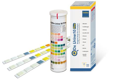 Manual Urine Strip 10 Parameter For Laboratory Model Namenumber Qdx