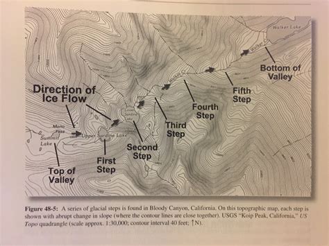 Solved Name Section Exercise 48 Problems Part Ii The