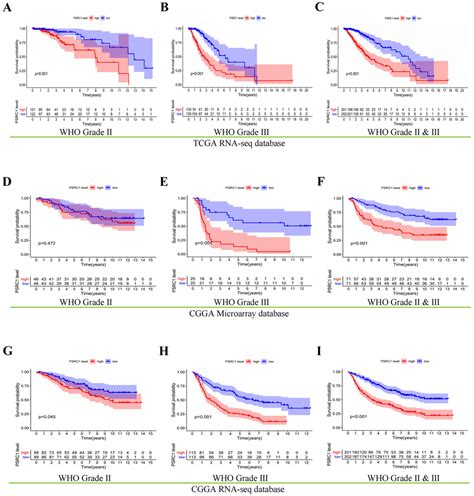 The Kaplanmeier Survival Analysis Based On Tcga Rna Seq Database