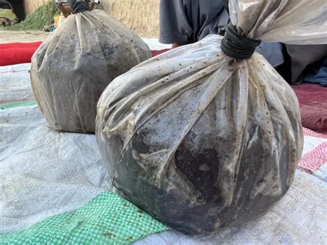 Taliban Hancurkan Ladang Opium Dalam Perang Melawan Narkoba Bbc News