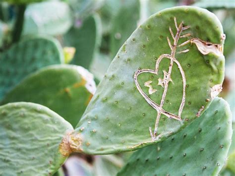 Dry Sex Isnt Always Dry Humping FAQs Safety Concerns And More