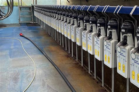 Unlocking The Secrets Of Milk Recording Data Dairy Data