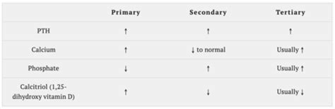 Hyperparathyroidism Diagnosis Flashcards Quizlet