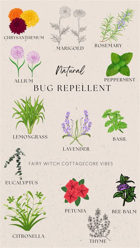 Natural Bug Repellent Plants For Your Garden
