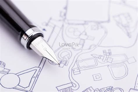 펜 드로잉 꽃 이미지 사진 및 Png 일러스트 무료 다운로드 Lovepik