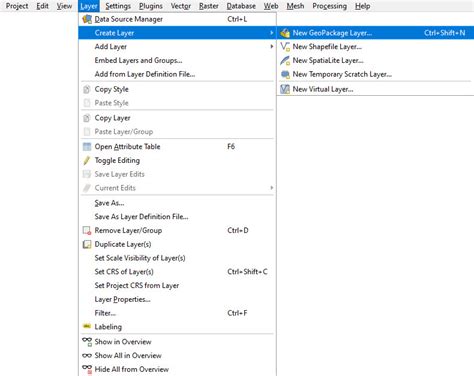 Creating A Project In Qgis Mergin Maps