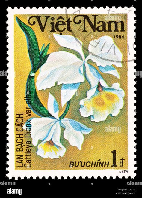 Postage Stamp From Vietnam Depicting A Tropical Orchid Cattleya Diaox
