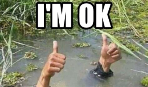 Darius Tracy On Linkedin Socialsaturday Talentstacker Socialsaturday Jokes Keepgrowing