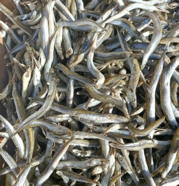 批发 银针鱼熟的微咸就一根主刺鱼小肉厚口感好价格8 00元 斤 一亩田