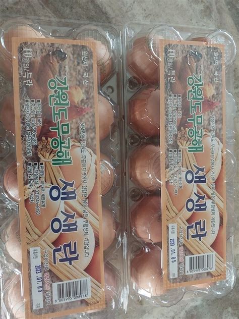 복숭아 음료수 뉴스트림