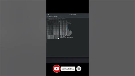 linux cli 6b 🐧 copy files and directories linux shell cli konsole