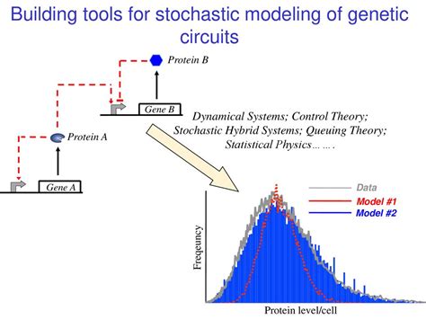 Systems Level Modeling Of Genetic Circuits Gene A Protein A Protein B