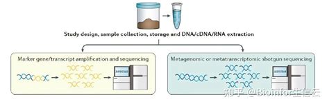 宏基因组测序分析（前言） 知乎