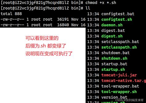 Linux在 Linux 上搭建 Java 部署环境安装jdktomcatmysql 将程序部署到云服务器上的操作java