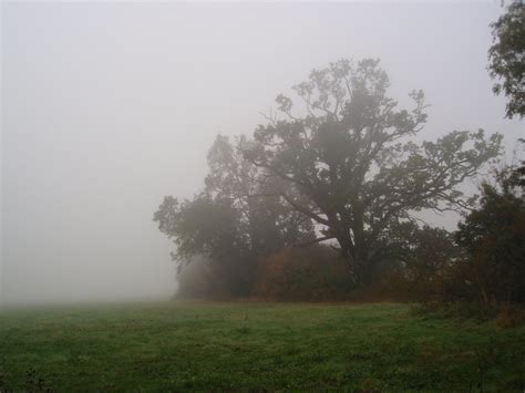 Pa120068 Rob Hamm Flickr