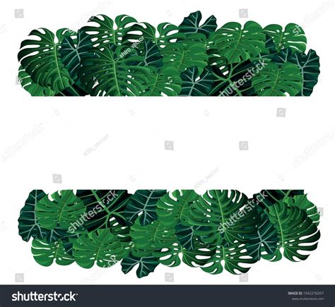 Tropical Frame Border Tropical Leaves Vector Stock Vector Royalty Free