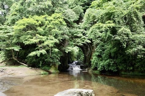 個別「濃溝の滝・亀岩の洞窟」の写真、画像 元・【東京】江戸御府内八十八ヶ所順打ち巡礼記【遍路】の写真庫