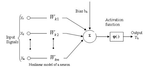 Nonlinear Model Of Neuron Download Scientific Diagram