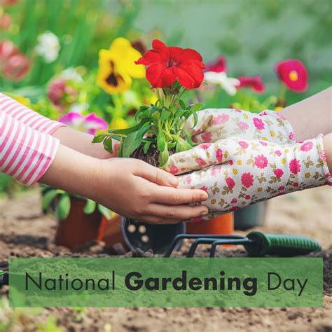 Happy National Gardening Day Gardening Is A Fun And Rewarding Activity