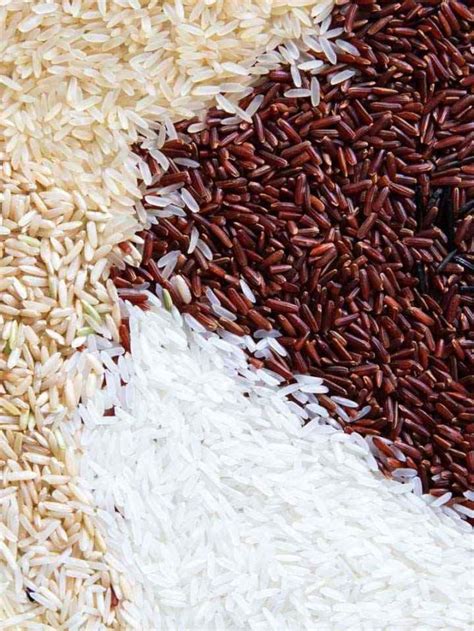 Different Types Of Basmati Rice Tradeindia Webstories