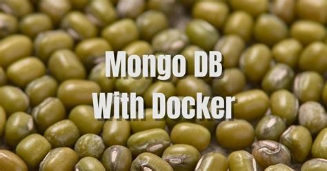 Using Mongodb With Docker Earthly Technologies