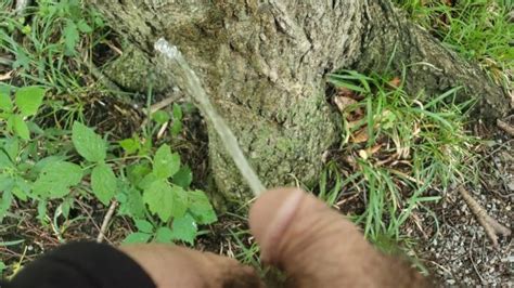 Peeing On A Tree
