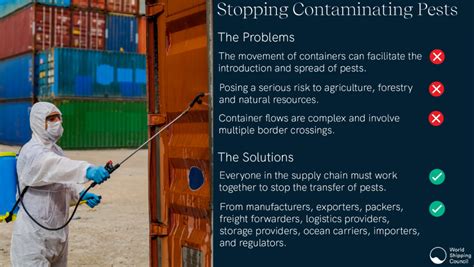 Watch How The Move Of Containers Can Cause Spread Of Pests Safety4sea