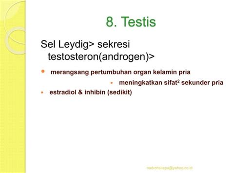 FARMAKOLOGI HORMONAL Obat Hormonal Diabetes PPTX