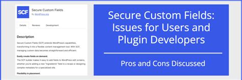 Secure Custom Fields Issues For Users And Plugin Developers Webtng