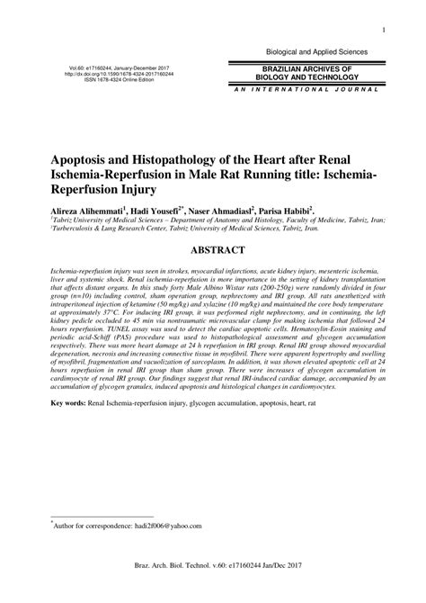 Pdf Apoptosis And Histopathology Of The Heart After Renal Ischemia Reperfusion In Male Rat