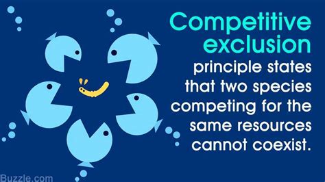 Competitive Exclusion Principle