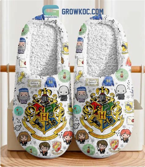 Harry Potter Draco Dormiens Nunquam Titillandus House Slippers Growkoc