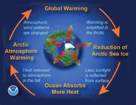 This Diagram Depicts The Positive Feedback Loop That Is Contributing To