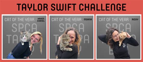 Taylor Swift Challenge