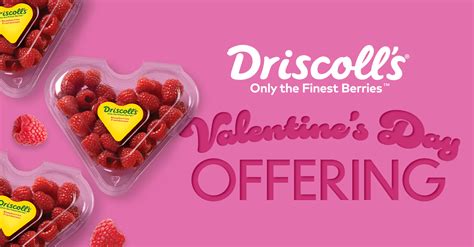 Driscolls Harnesses Valentines Day Opportunities With Heart Shaped Raspberry Packaging