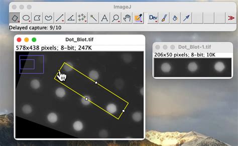 cropping rounded rectangle selection generates bounding box after using