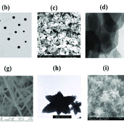 Zno Morphologies A Nanorods Reprinted With Permission From Ref Download Scientific Diagram