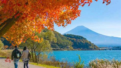 ۳۵ تا از بهترین جاهای دیدنی ژاپن آرندتور