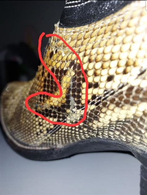 Python Scales Repair Rcowboyboots