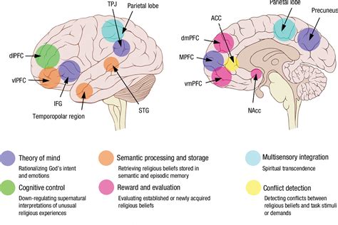 Figure 1 From The Neural Basis Of Religious Cognition Semantic Scholar