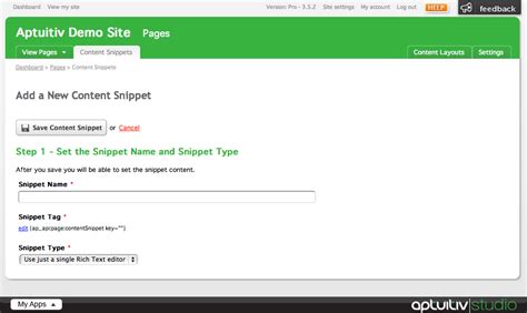 Content Snippets Branch CMS Documentation