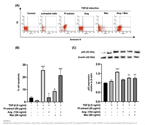 Figure 5 From Bioassay Guided Isolation Of Two Antiproliferative