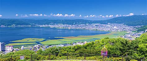 諏訪市 老舗 鰻専門店 国産うなぎ うなぎのねどこ おび川