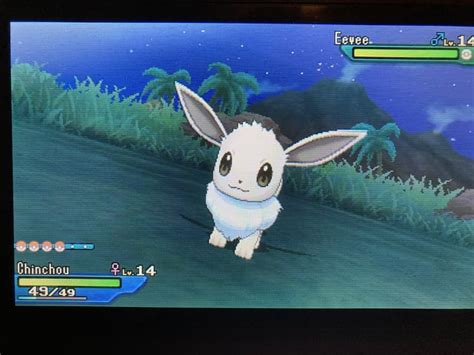 [7] 2 Shiny Eevee While Hunting For Island Scan Beedrill R