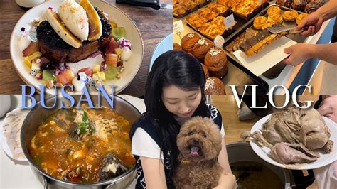 Vlog 일상 브이로그 직장인브이로그 주말부부 부산 시댁방문 붙임머리로 긴머리 컴백 부산을 와서 바다 안 가는 나 아가도 보고 댕댕이도 보고👶🏻🤍🐶