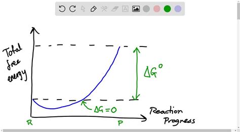 Consider The Following Graph Of Total Free Energy Of Reactants And Products Versus Reaction