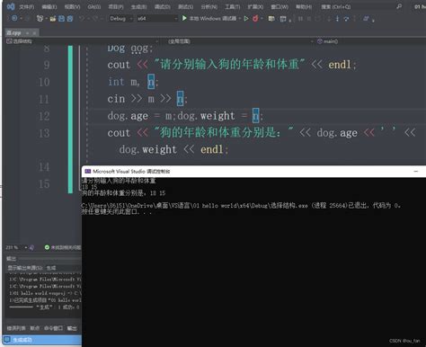 C编程实例解析 Csdn博客